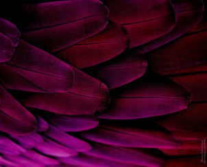 La Roche Mère, boutique de mineraux à Paris - La Roche Mère