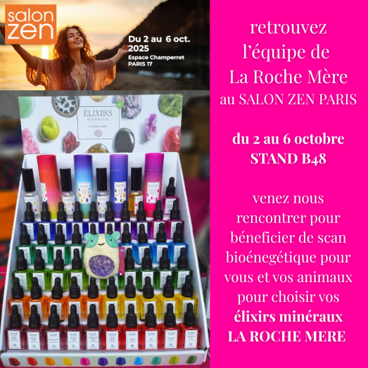 La Roche Mère, boutique de mineraux à Paris - La Roche Mère